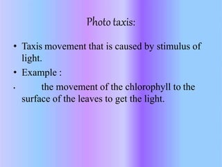 Movement in plants | PPTX