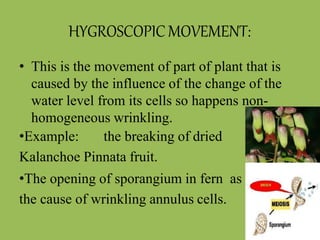 Movement in plants | PPTX