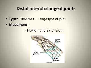 movement | PPT