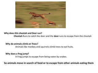 Movement of animals | PPTX