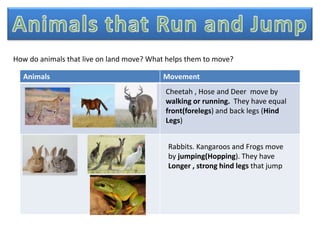 Movement of animals | PPTX