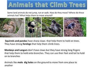 Movement of animals | PPTX