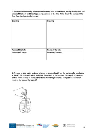 Movement of animals_1_ | PDF