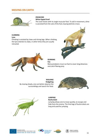 Movement of animals_1_ | PDF