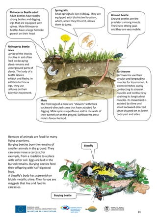 Movement of animals_1_ | PDF | Geology | Science
