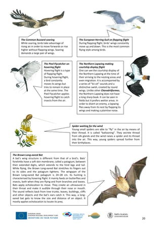 Movement of animals_1_ | PDF | Geology | Science