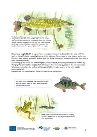 Movement of animals_1_ | PDF | Geology | Science