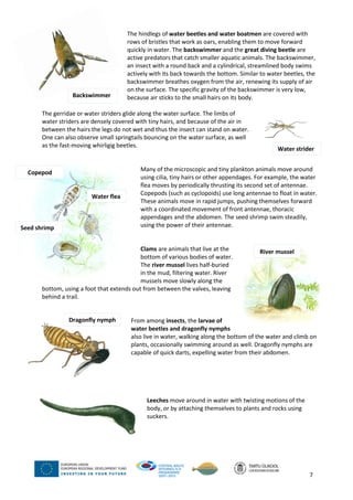 Movement of animals_1_ | PDF | Geology | Science