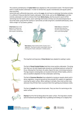 Movement of animals_1_ | PDF | Geology | Science