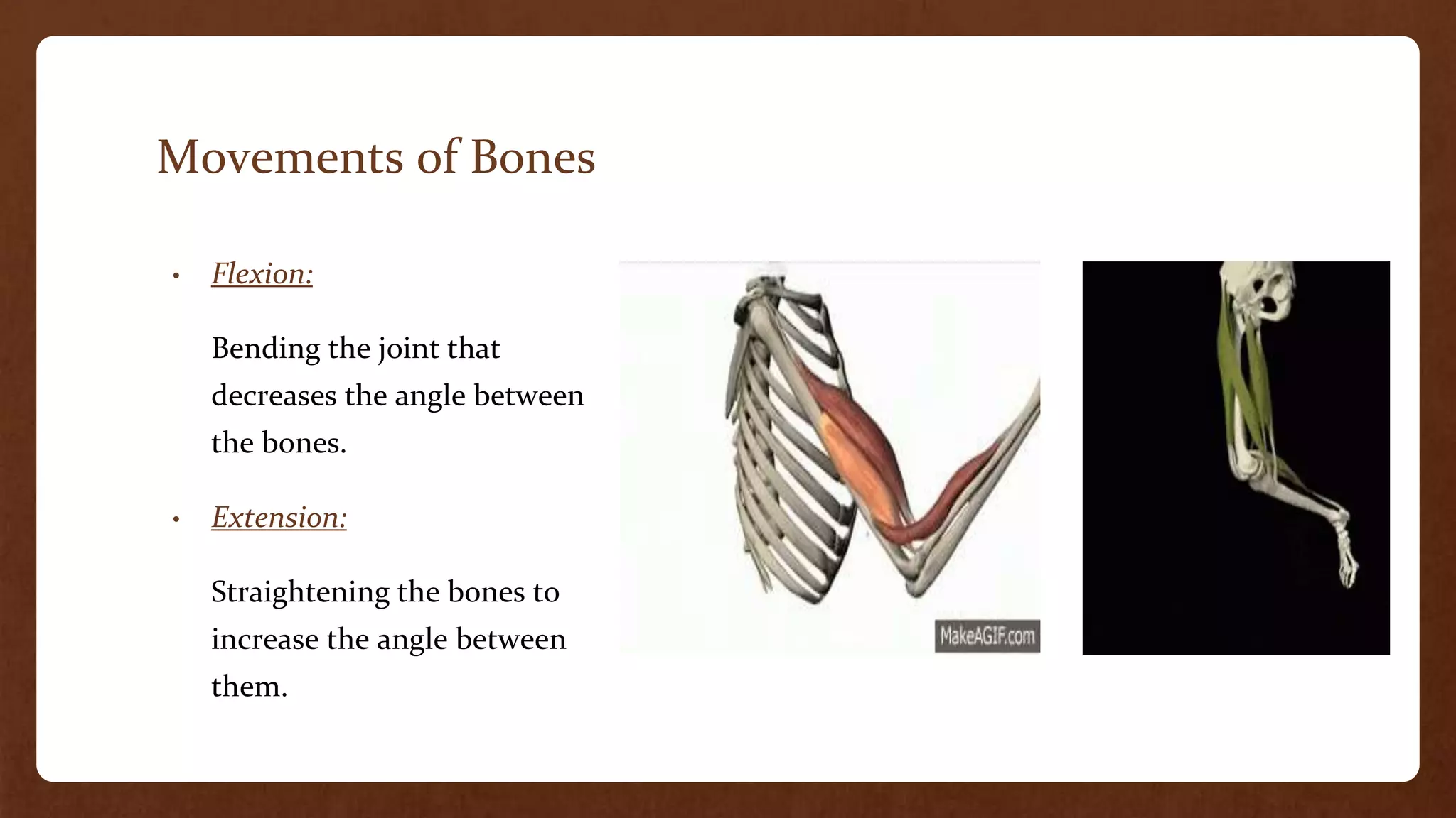 MOVEMENT OF BONES OF AXIAL AND APPENDICULAR SYSTEM.pptx