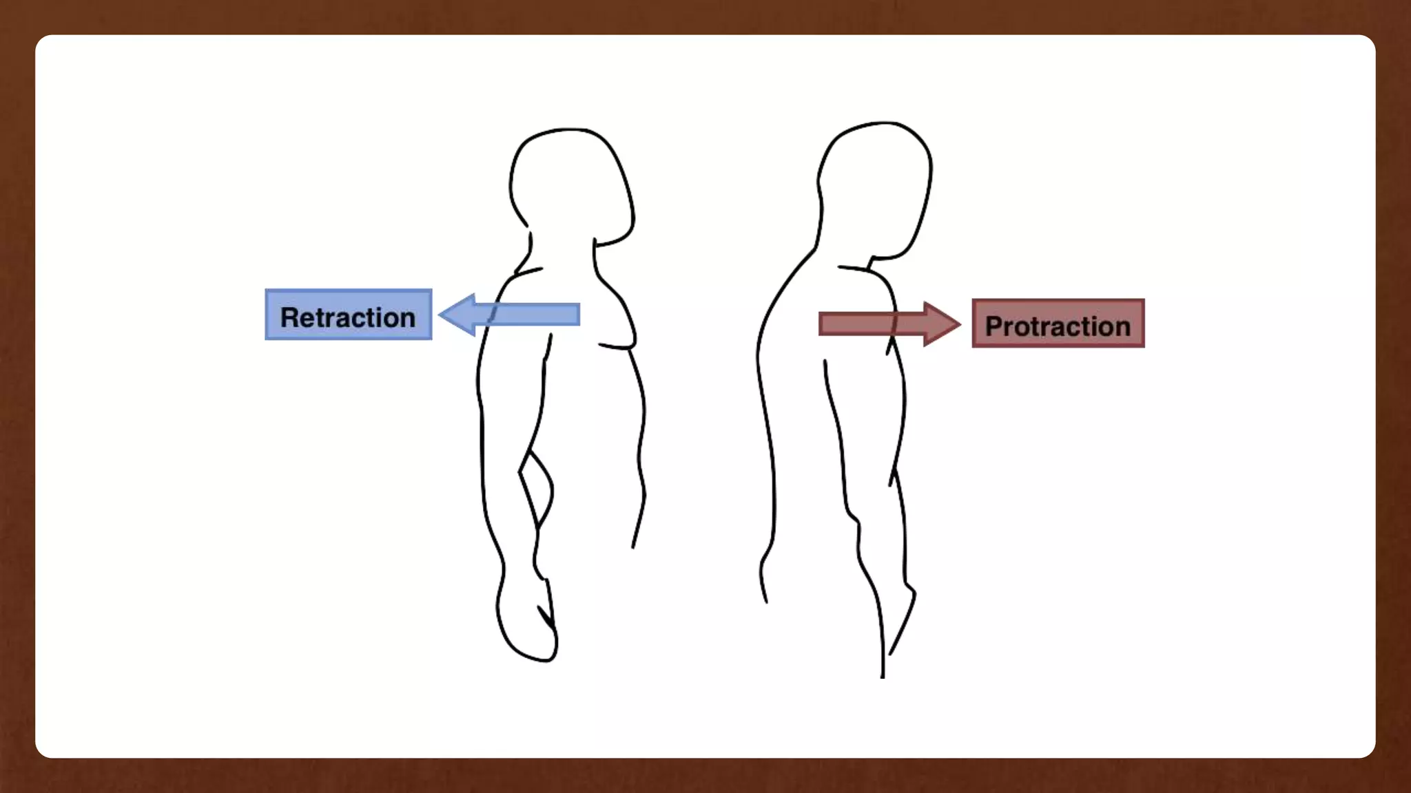 MOVEMENT OF BONES OF AXIAL AND APPENDICULAR SYSTEM.pptx
