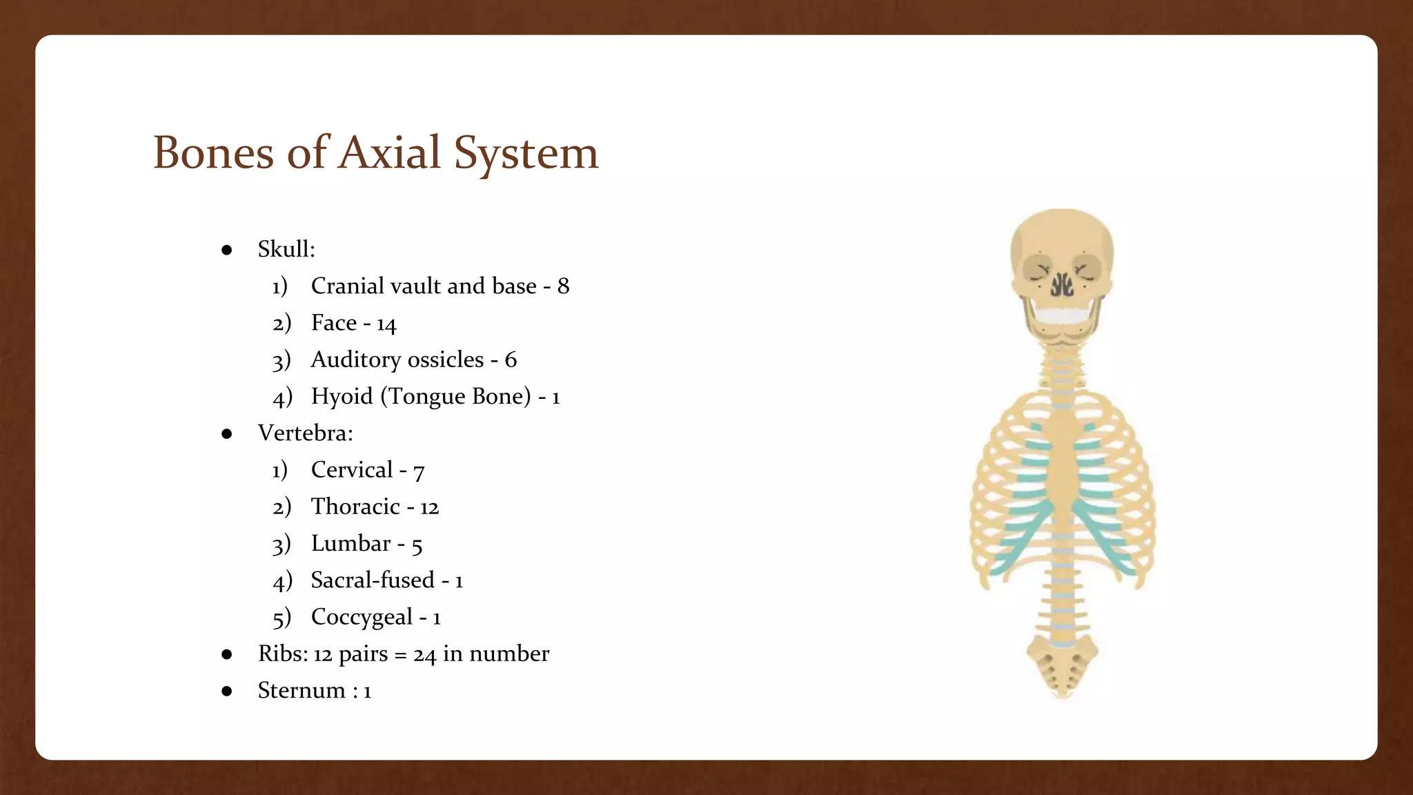Movement Of Bones Of Axial And Appendicular System Pptx