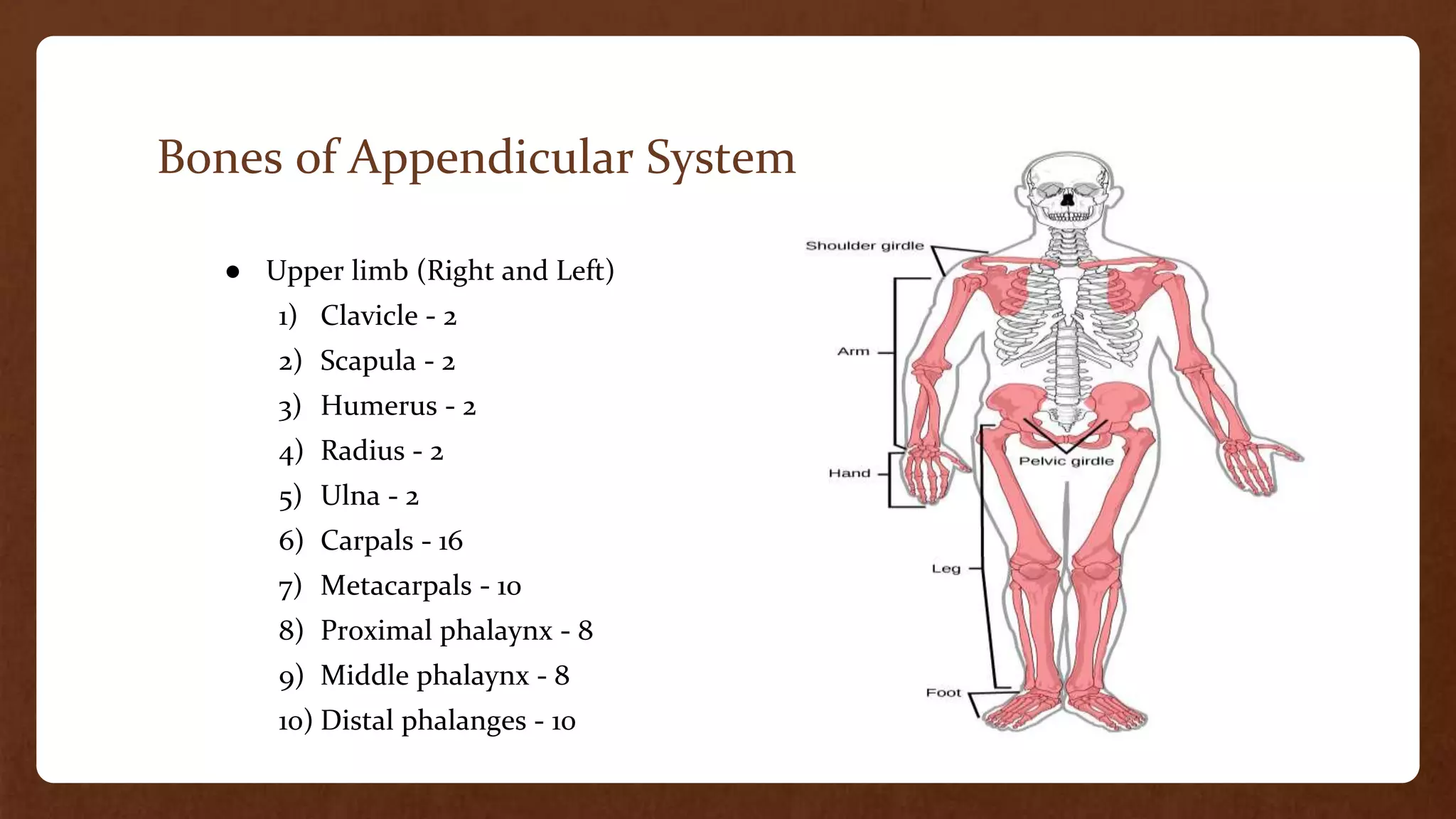 MOVEMENT OF BONES OF AXIAL AND APPENDICULAR SYSTEM.pptx