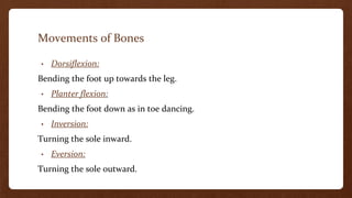 MOVEMENT OF BONES OF AXIAL AND APPENDICULAR SYSTEM.pptx