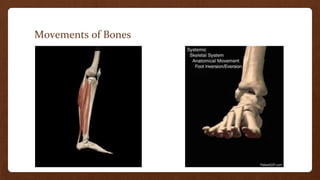 MOVEMENT OF BONES OF AXIAL AND APPENDICULAR SYSTEM.pptx