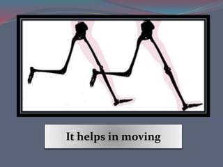Movement of human body | PPTX