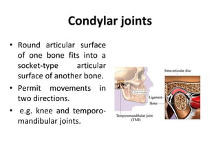 MOVEMENT OF Joints-1.ppt