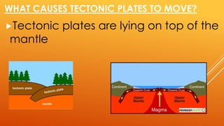 Movement of mantle 6th | PPT