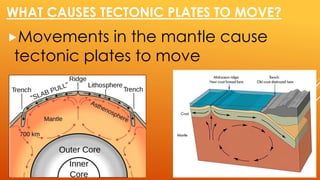 Movement of mantle 6th | PPT