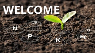 Movement of nutrients in soil or nutrient transformation in soil.pptx