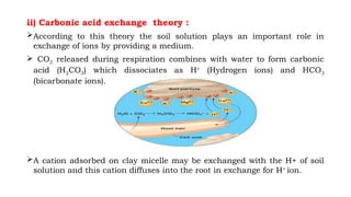 Movement of nutrients in soil or nutrient transformation in soil.pptx