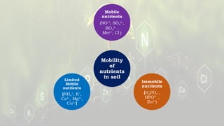 Movement of nutrients in soil or nutrient transformation in soil.pptx