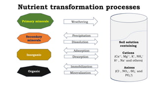 Movement of nutrients in soil or nutrient transformation in soil.pptx