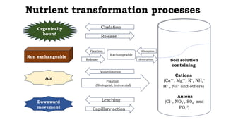 Movement of nutrients in soil or nutrient transformation in soil.pptx