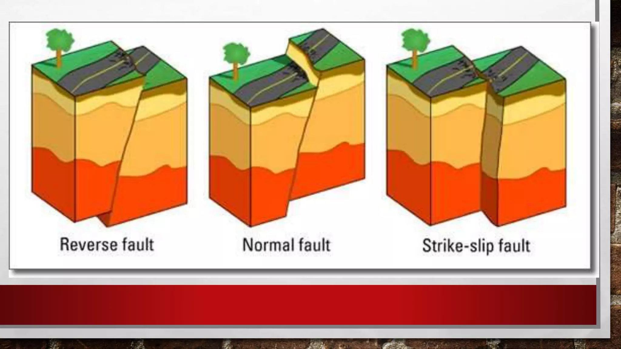 Movement of plates.pptx