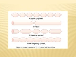 MOVEMENT OF SMALL INTESTINE.pptx