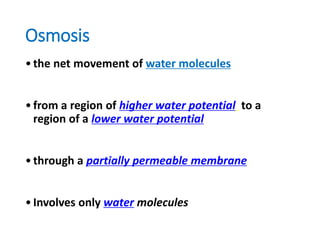 Movement of substances | PPTX