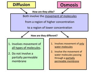 Movement of substances | PPTX