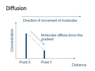 Movement of substances | PPTX