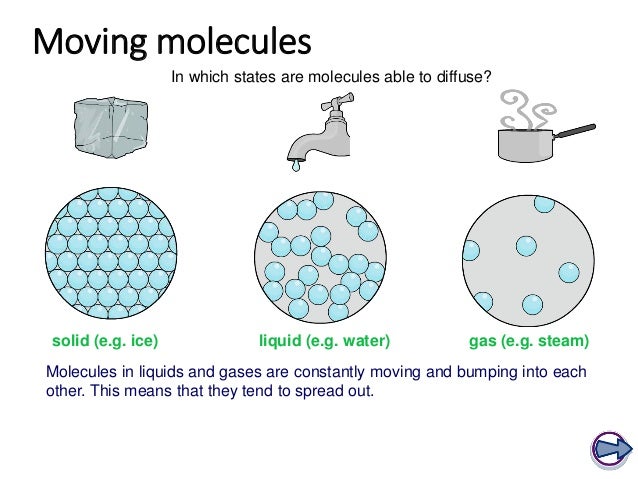 Movement of substances