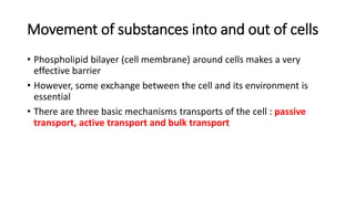 Movement of substances into and out of cells.pptx | Biological Sciences ...