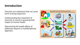 Movement Of Toxicants, Determining Health Effects Of Pollutants.pptx