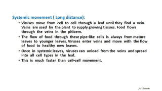 Movement of viruses | PPTX | Biological Sciences | Science