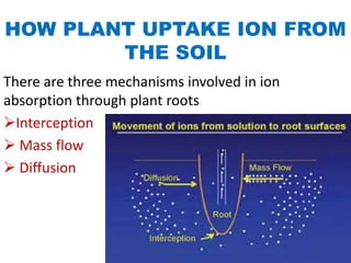 Movement of water and ion in the soil 508 | PPTX