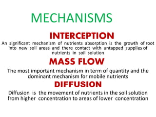Movement of water and ion in the soil 508 | PPTX