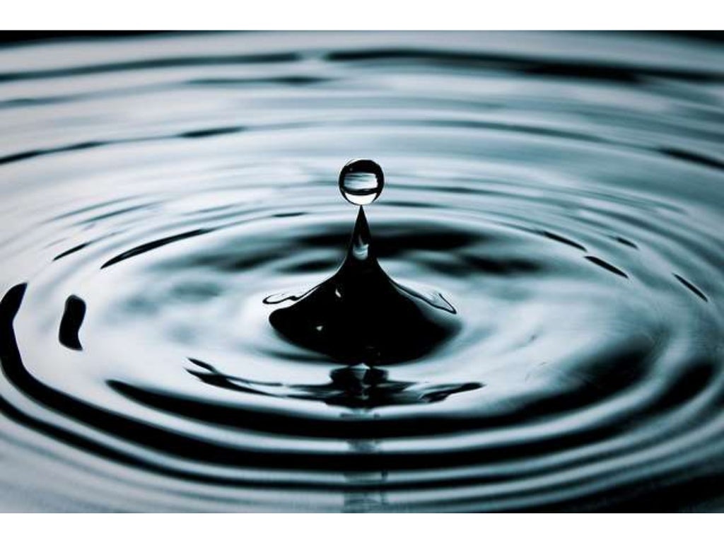 Movement Principles of Design