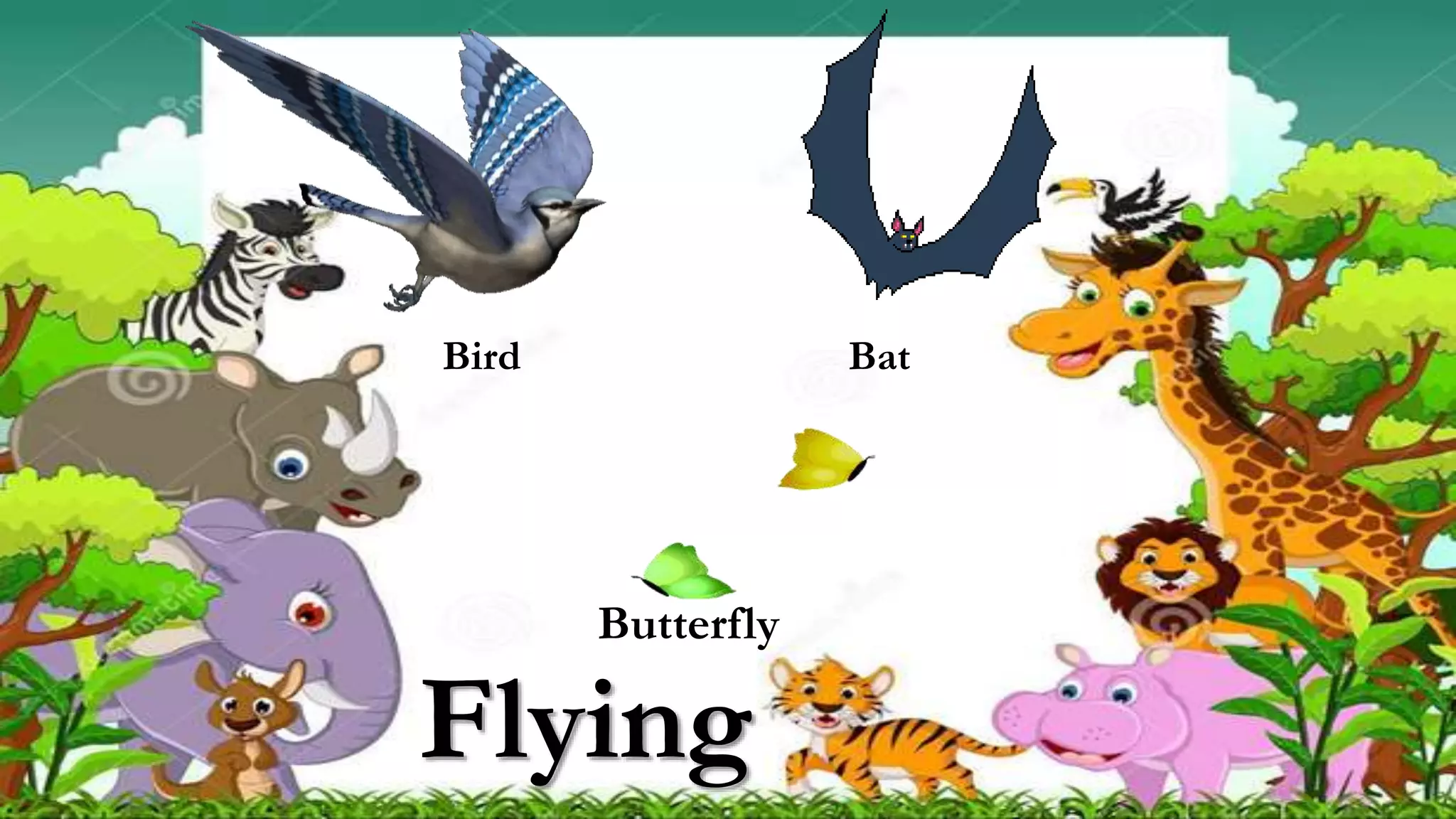 Movements of Animals | PPTX