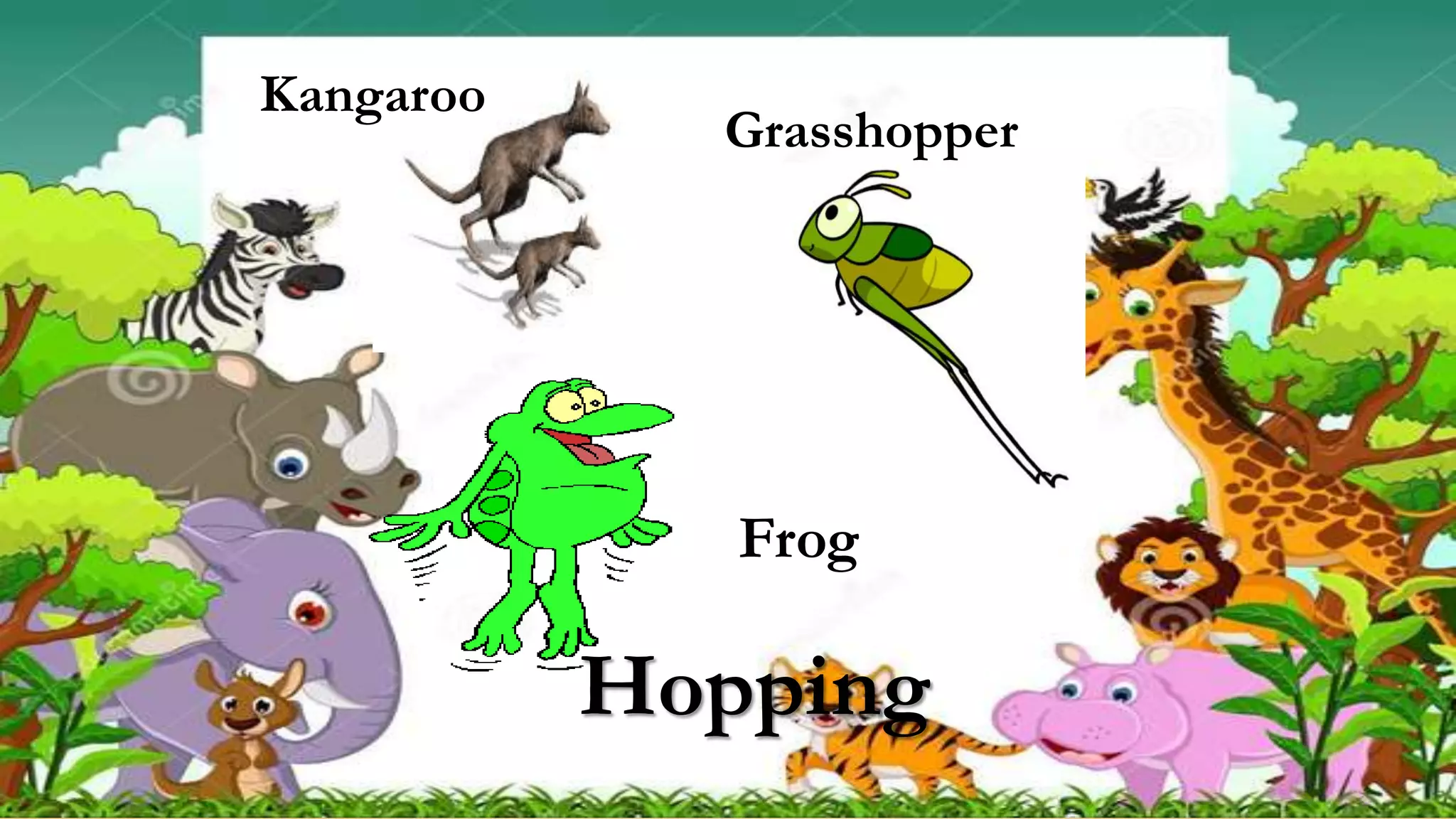 Movements of Animals | PPTX