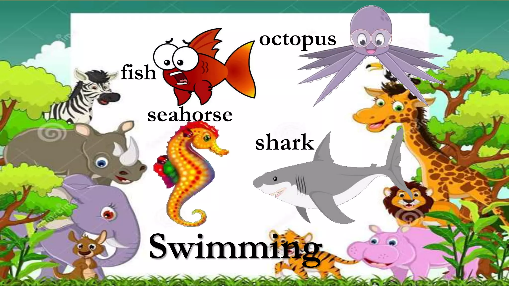 Movements of Animals | PPTX