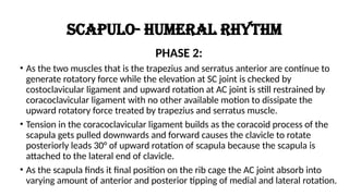 BIOMECHANICS OF THE MOVEMENT OF THE SHOULDER COMPLEX.pptx