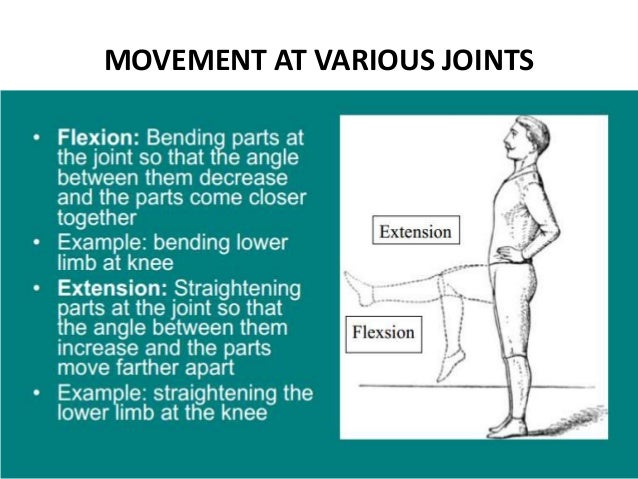 This Image Shows Some Examples Of The Movements Of Joints And Their