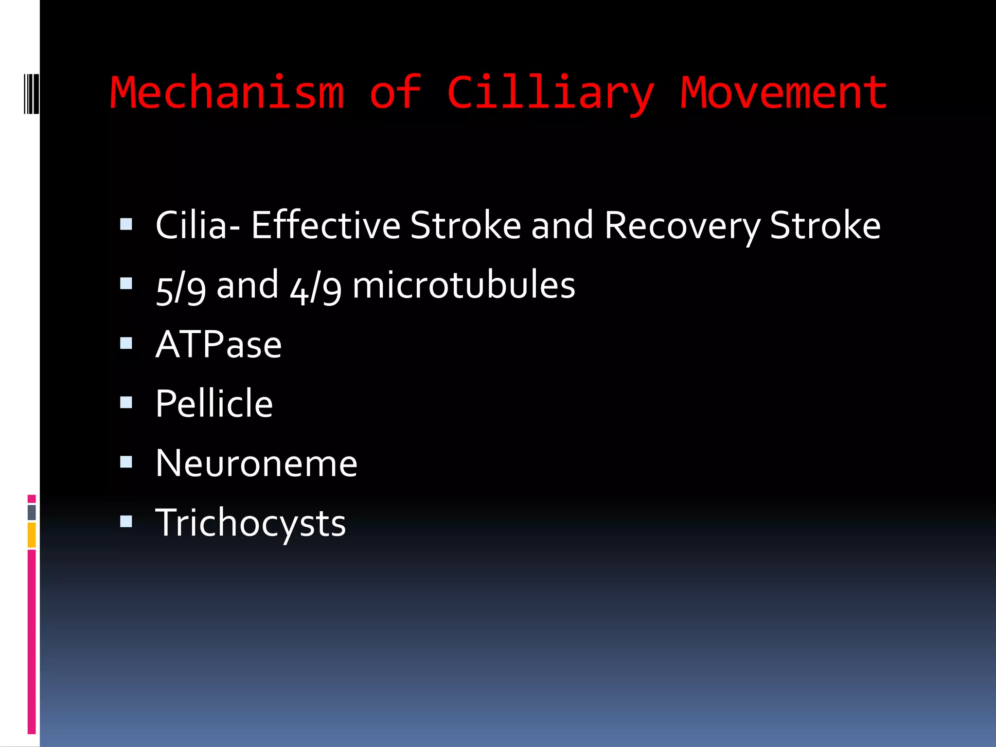 Movements/Locomotion in Protists and animals by Saghir Ahmad | PPTX