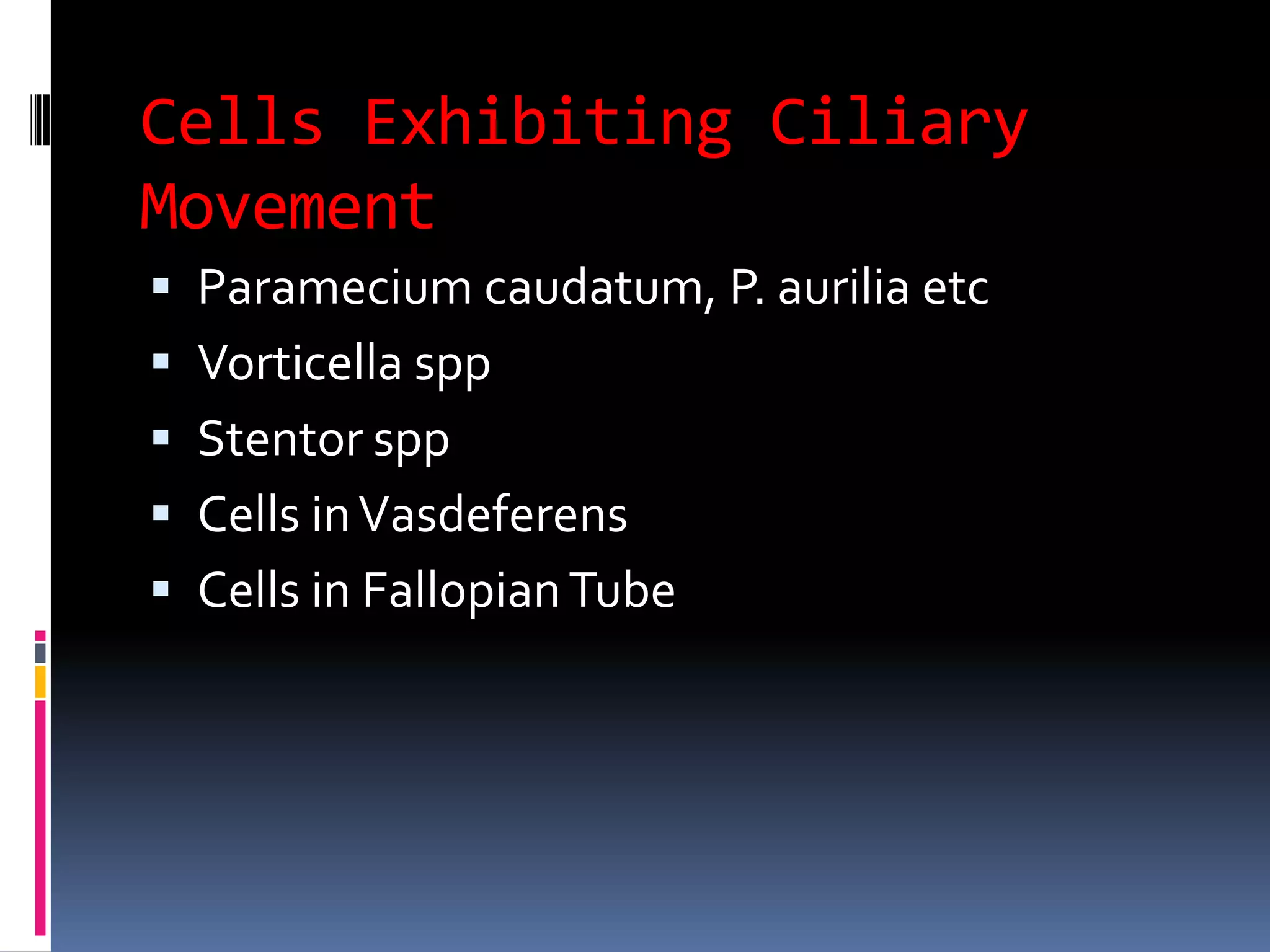 Movements/Locomotion in Protists and animals by Saghir Ahmad | PPTX