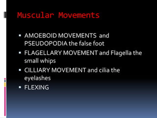 Movements/Locomotion in Protists and animals by Saghir Ahmad | PPTX