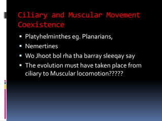 Movements/Locomotion in Protists and animals by Saghir Ahmad | PPTX
