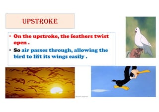 Movements in birds | PDF